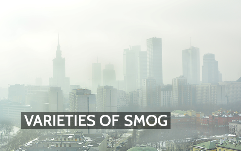Understanding the Key Differences Between Photochemical and Sulfurous Smog